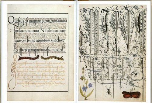 «Образцовая книга каллиграфии» — Оди. О дизайне