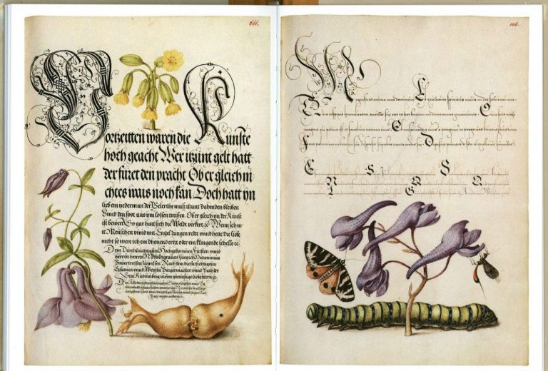 «Образцовая книга каллиграфии» — Оди. О дизайне