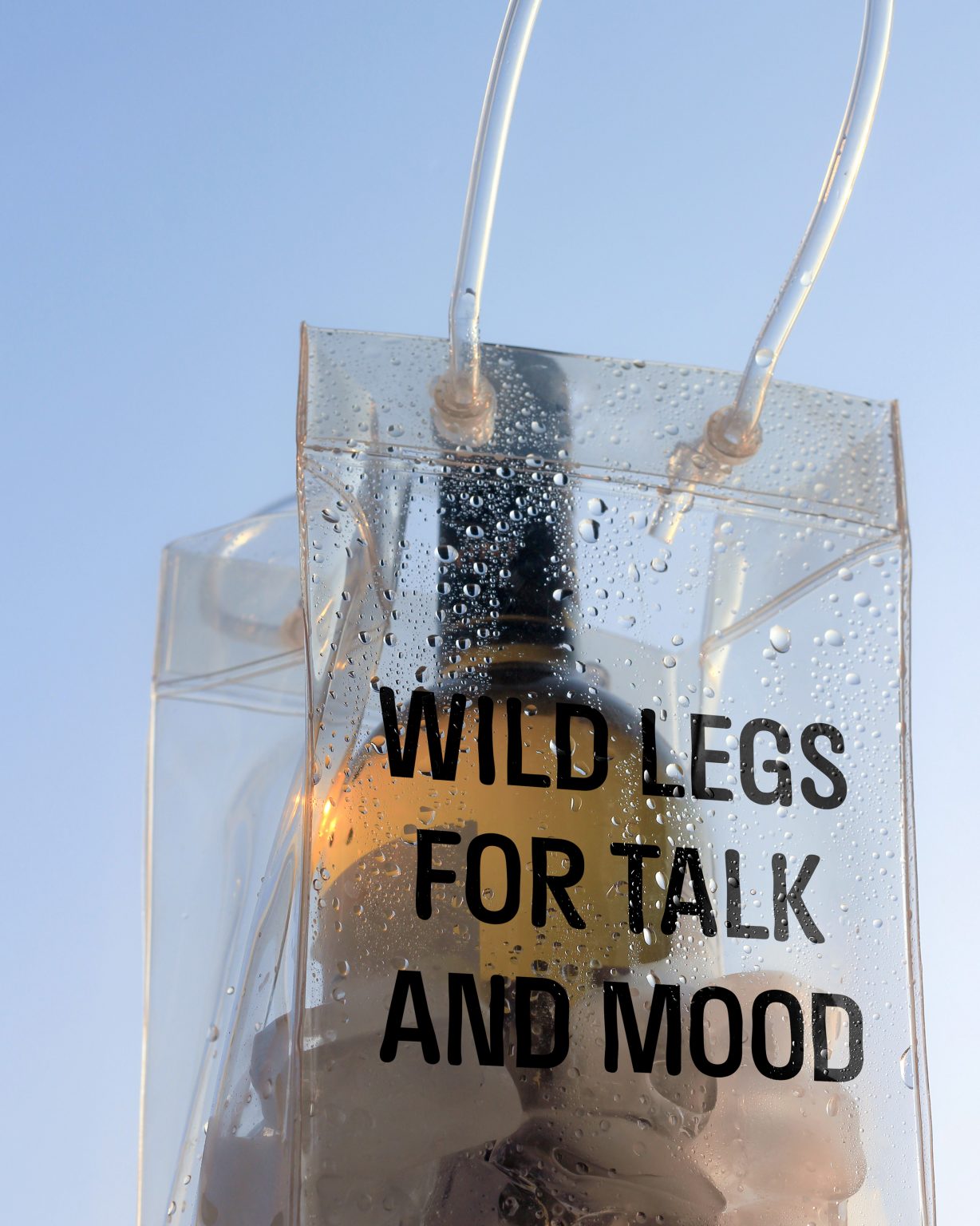Концепт айдентики бара Wild Legs — Оди. О дизайне